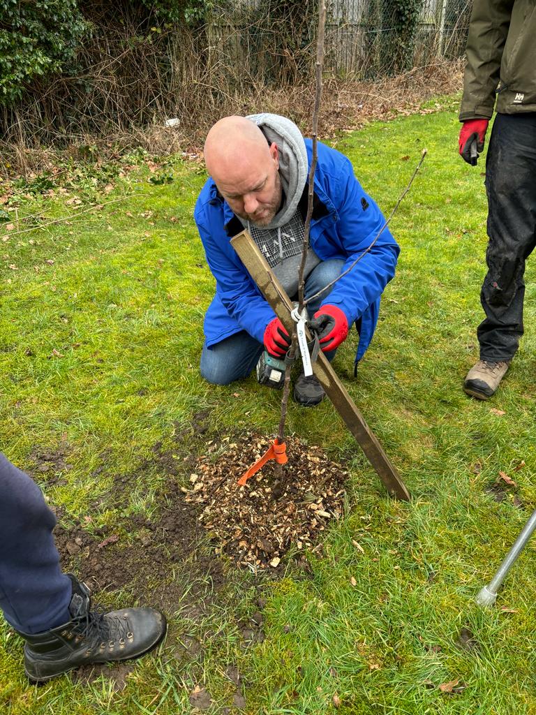 Memorial Orchard to Bloom at Bevin Court - St Annes